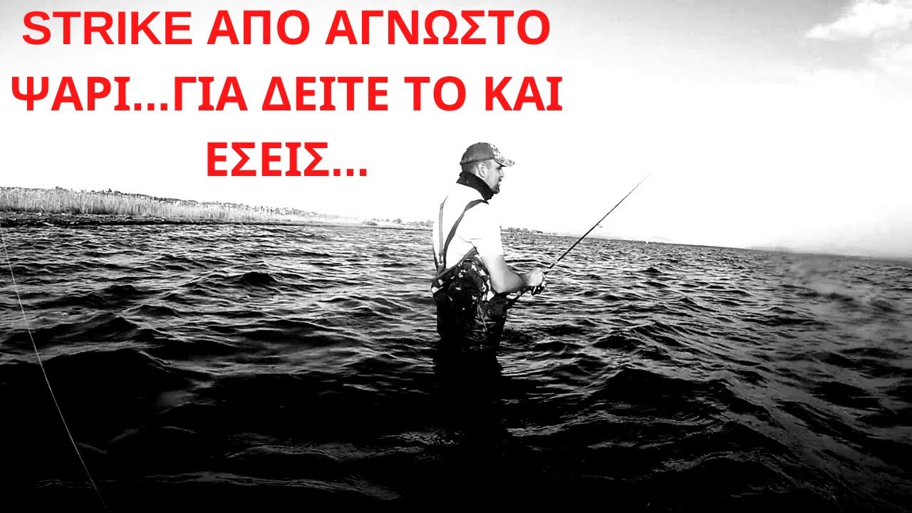 STRIKE ΑΠΟ ΕΝΑ ΜΥΣΤΗΡΙΟ ΨΑΡΙ | ΕΞΟΡΜΗΣΗ ΜΕ ΤΟΝ ΛΑΖΟ... ΨΑΡΕΜΑ ΑΠΟ ΤΟΝ ...
