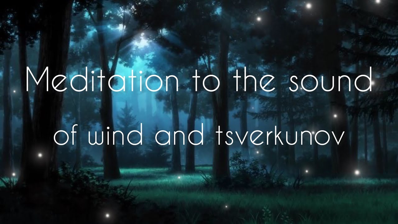 Meditation to the sound of wind and tsverkunov🦗 - YouTube