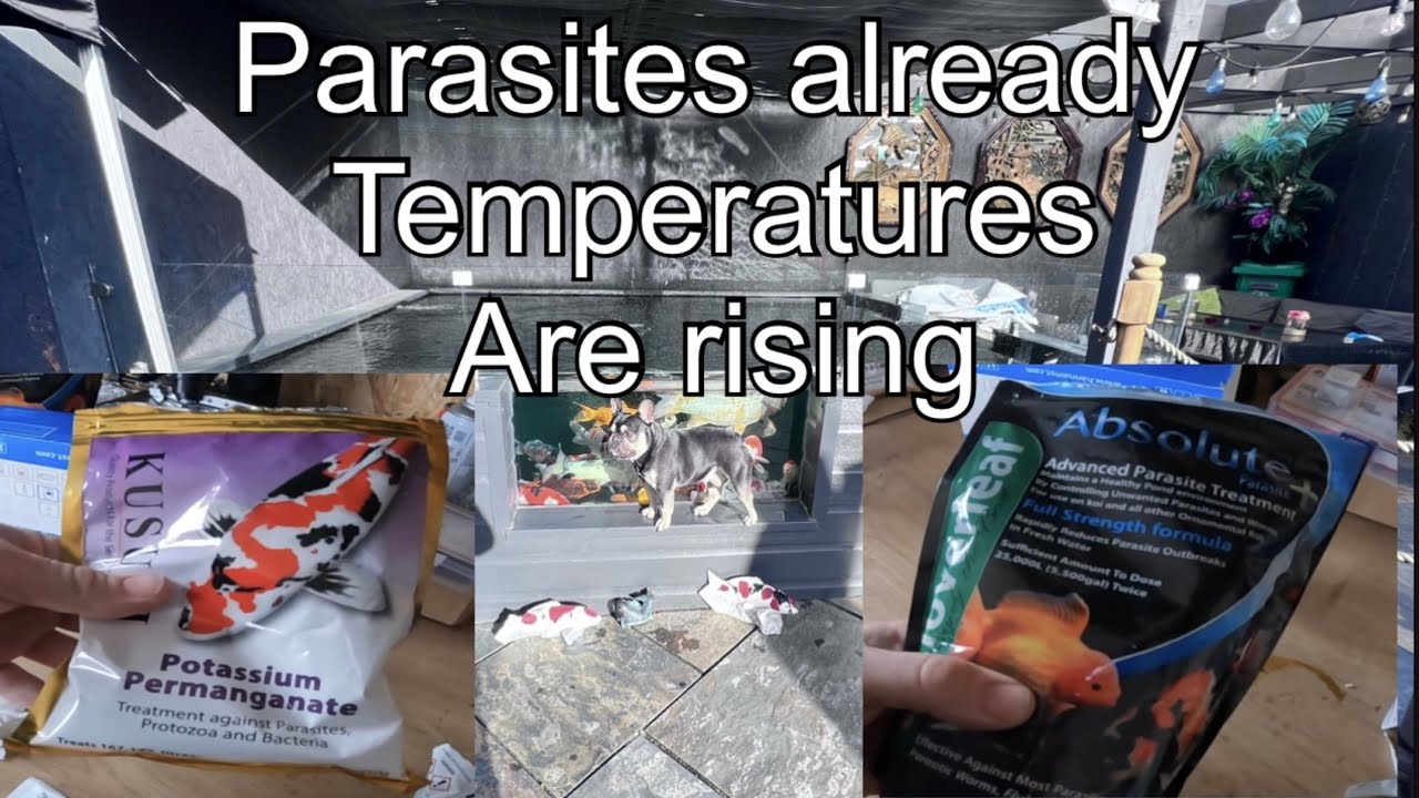 Parasites before the season starts, getting on top of them, different ...