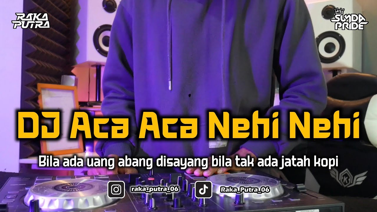 DJ ACA ACA NEHI NEHI | BOOTLEG REMIX 2025 TERBARU - YouTube