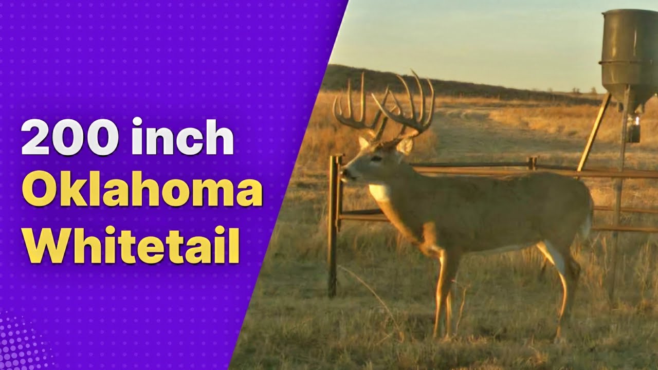 Oklahoma's Biggest Bucks - The Bryant Buck (Part 1) - YouTube