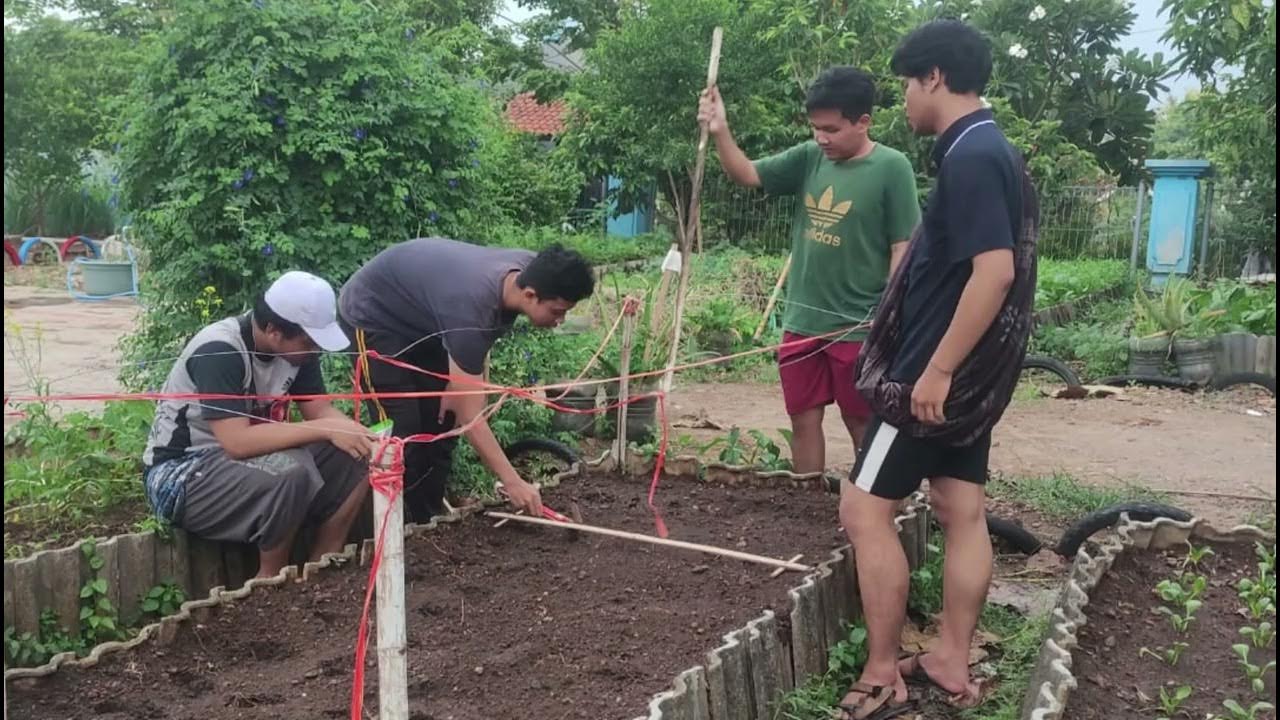 INTRODUCING POKTAN MAKMUR SEJAHTERA SAMBIROTO - YouTube