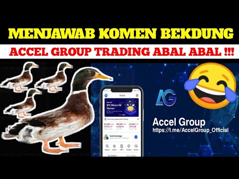 Menjawab Komen Bekdung Accel Group Trading Abal Abal!!! - YouTube
