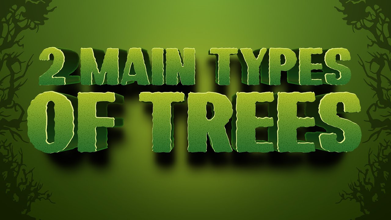 The 2 main types of trees - YouTube