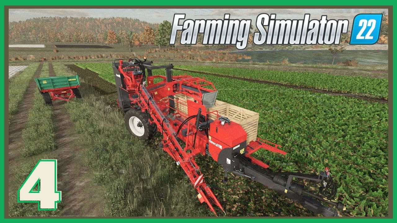 The Fued and Red Beet Harvesting | Start from Scratch | Zielonka ...