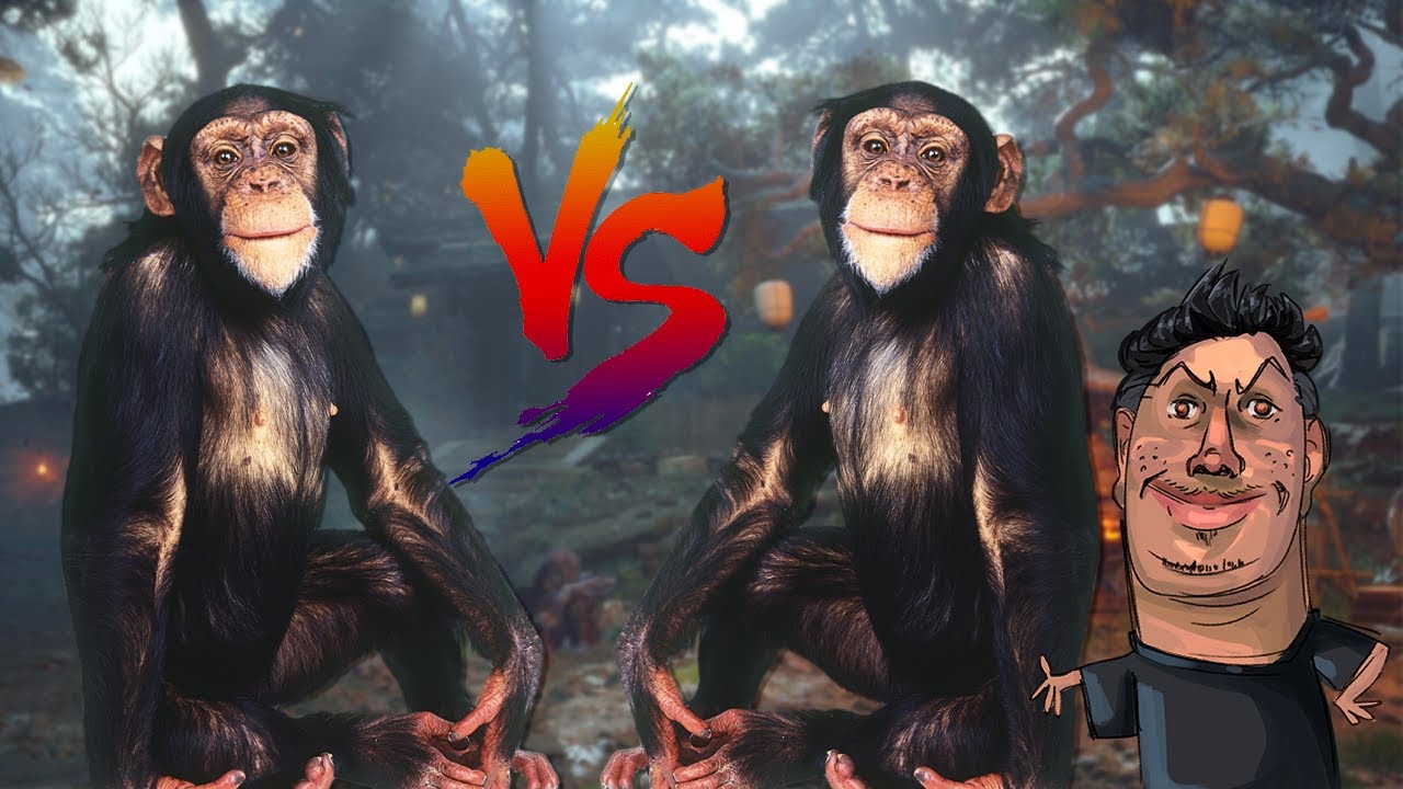 MACACO LUTAR MACACO, EU FELIZ - YouTube