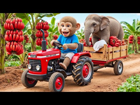 Monkey BoBo’s Red Banana Harvest Turns Urgent—An Elephant Trapped Under a Fallen Tree! 🐘😱