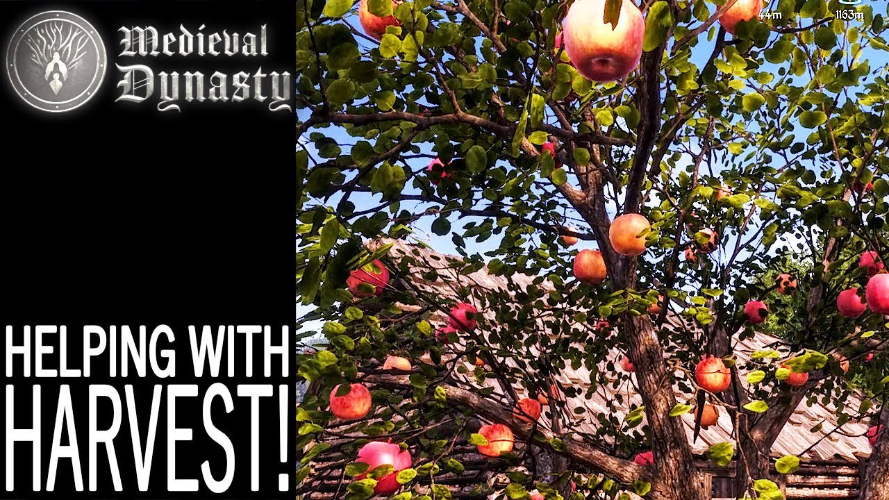 Helping With Harvest! | Medieval Dynasty Gameplay | EP 104 - YouTube