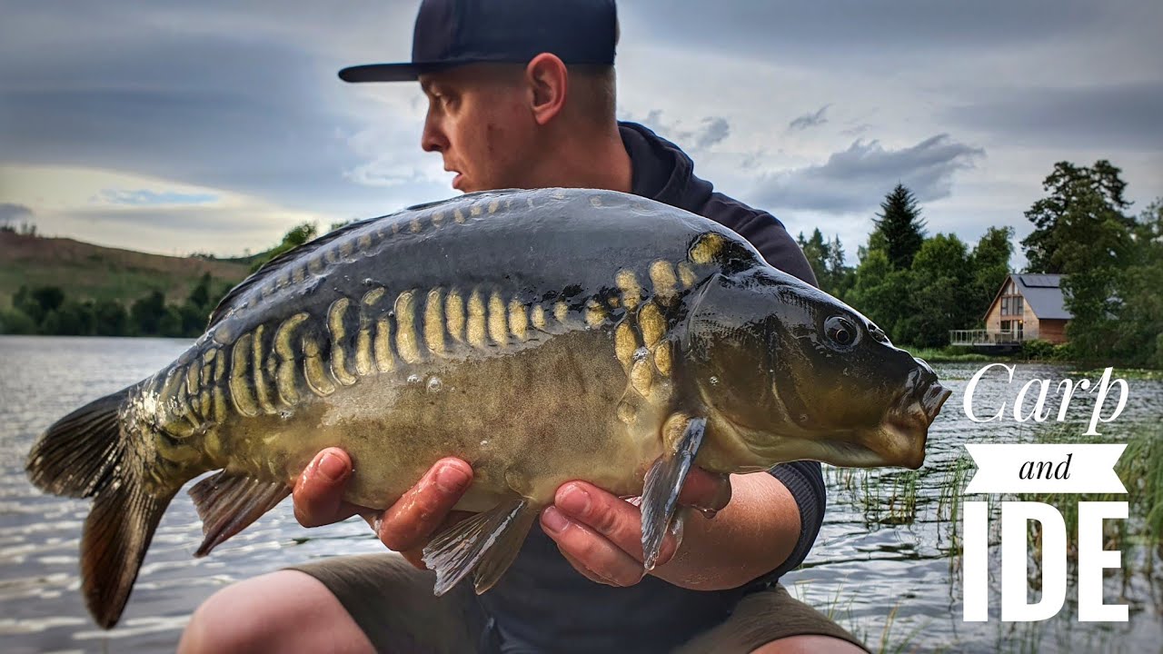 Fishing in Scotland stunning carp and new pb ide :) - YouTube