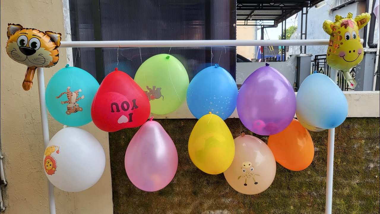 Meletuskan balon warna warni bersalju, balon berhadiah, balon binatang ...