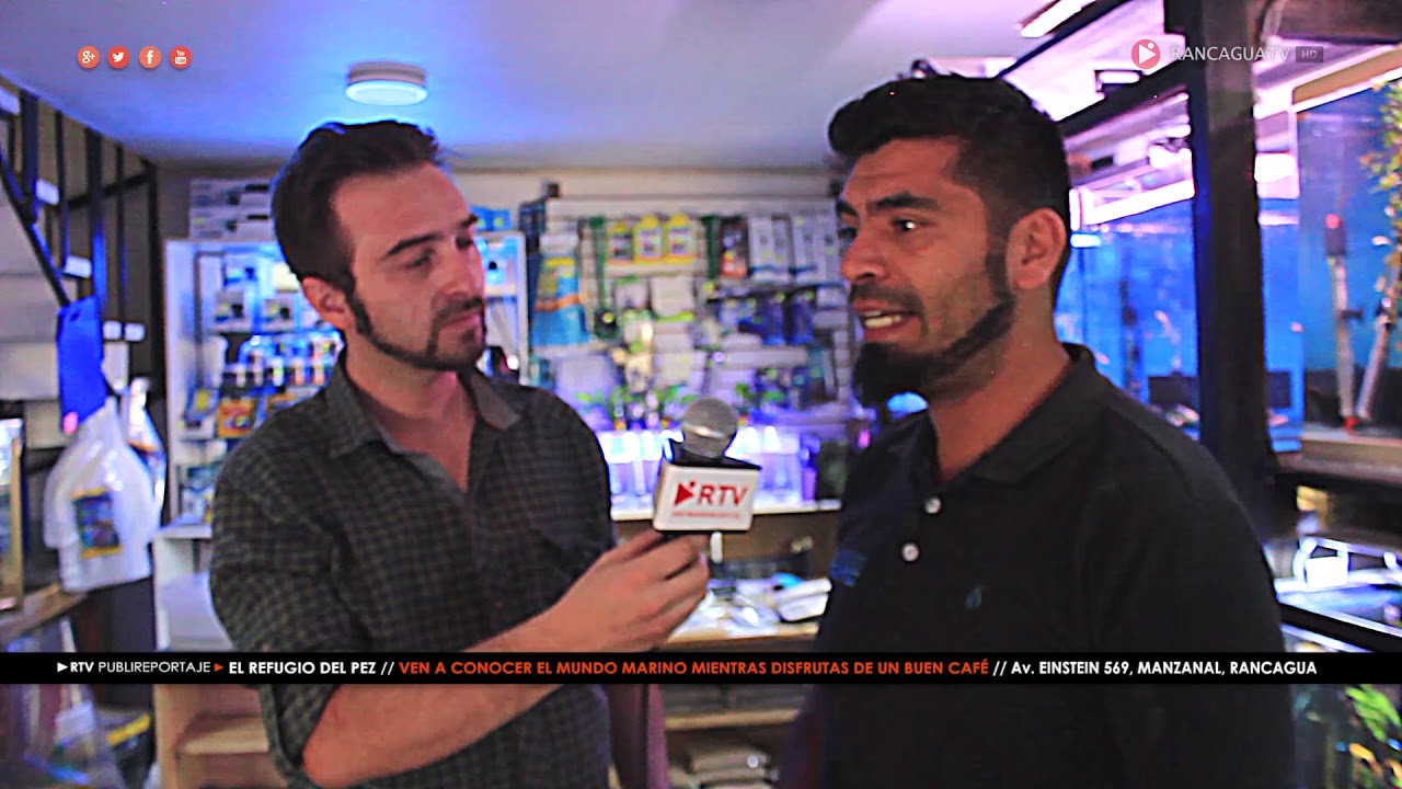 RANCAGUA TV - PUBLIREPORTAJE EL REFUGIO DEL PEZ - YouTube