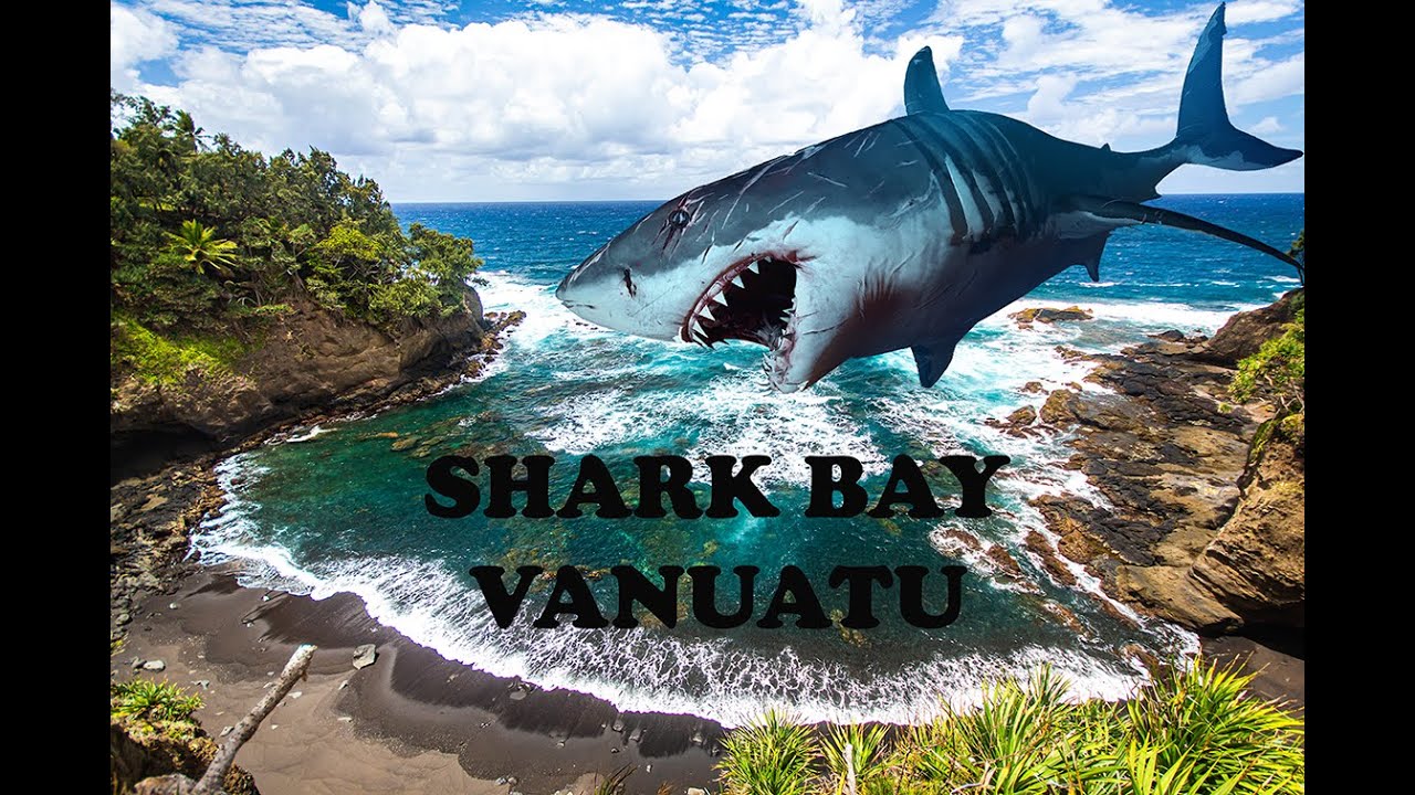 Shark Bay, Vanuatu - YouTube