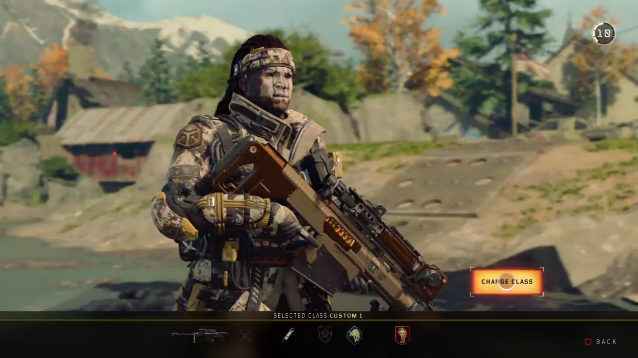 COD BO4 Paladin - YouTube