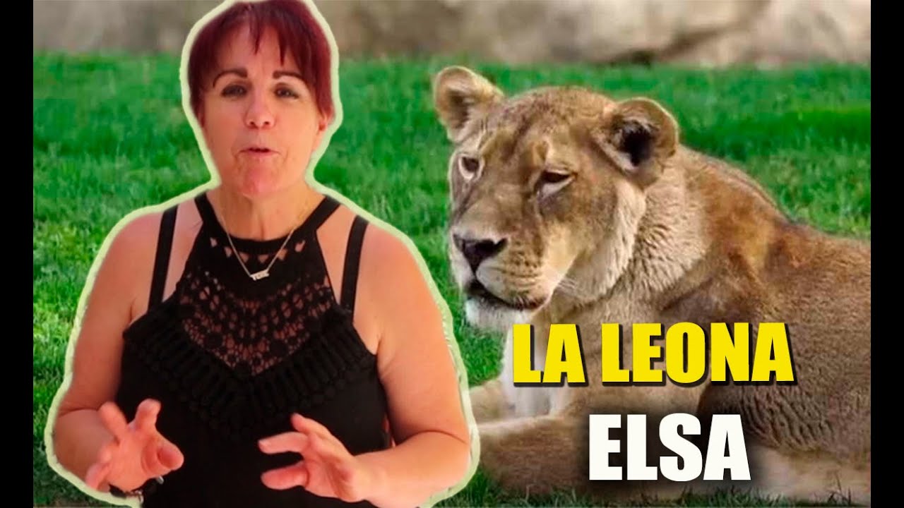 Nace La Leona ELSA!! - YouTube