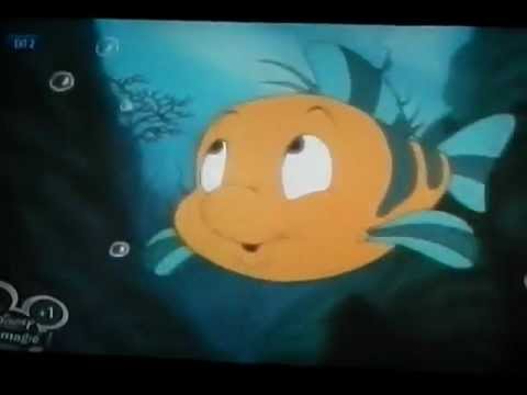 ariel and flounder talk about how they became friends.MP4 - YouTube