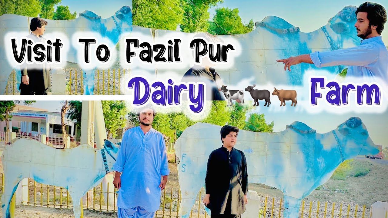 Visit of Dairy Farm #farming #animals #ramzanmubarak ️🤲🏻Ramzan Shareef ...