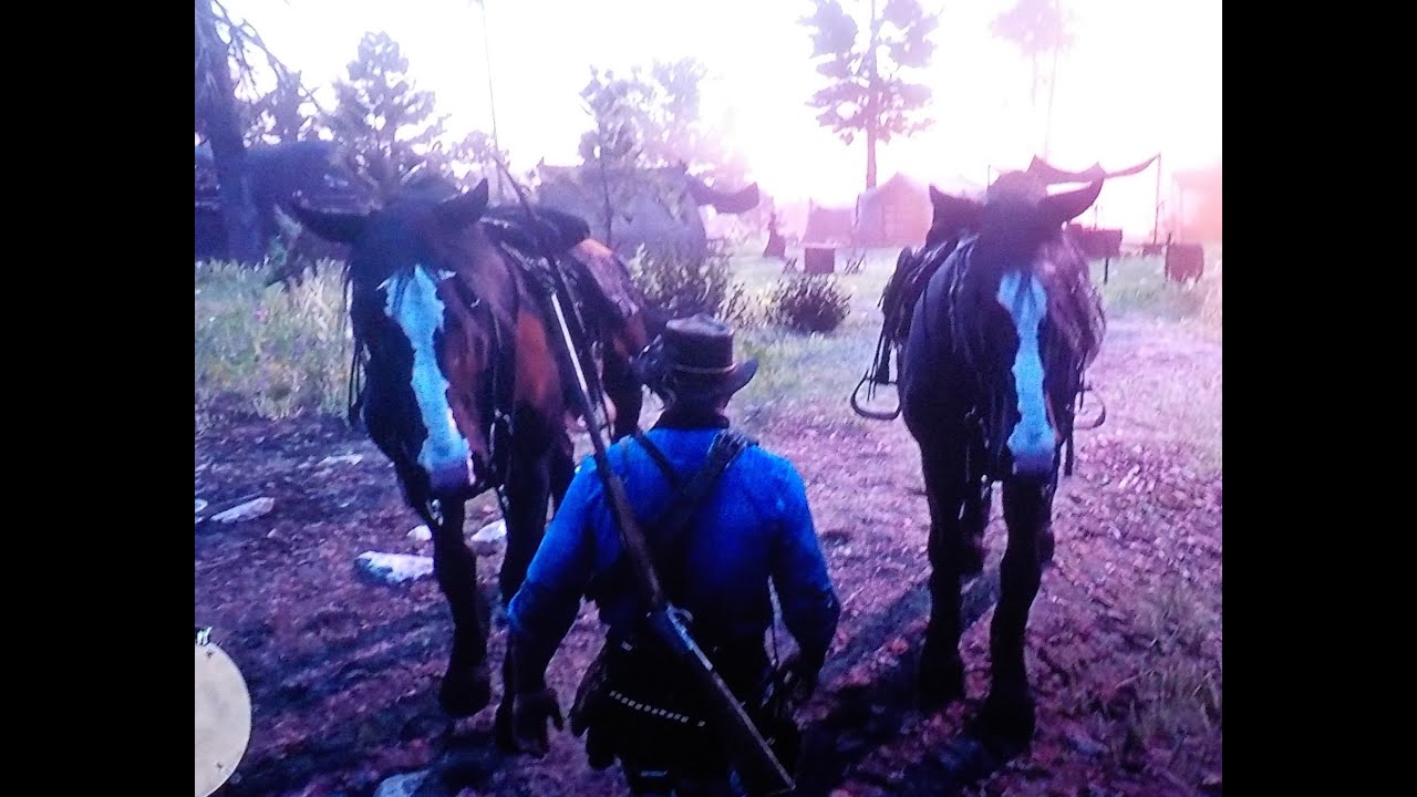 Red Dead Redemption 2 How To Get The Rolling Block Sniper Rifle On PS5 ...