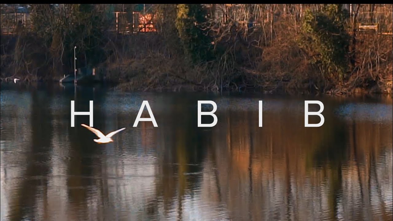 ALA - HABIB (official video) - YouTube