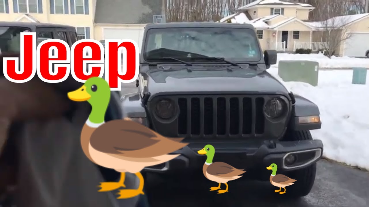 Ducking Jeeps in the new 2021 Jeep GLADIATOR #duckduckjeep # ...