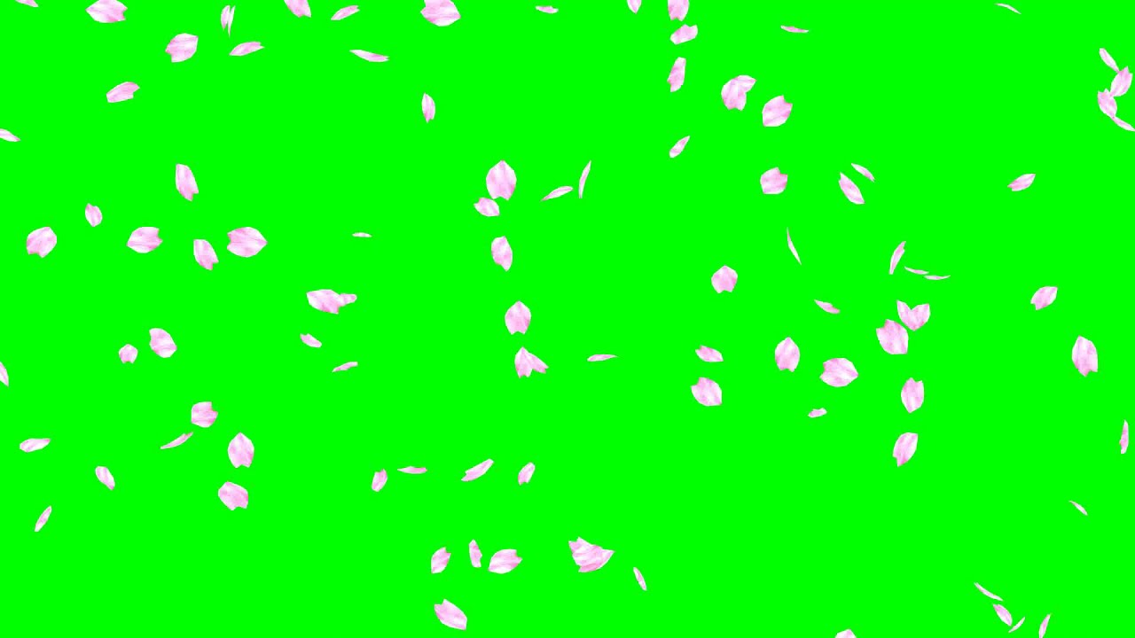 Cherry Blossom Petals From the Side No.7 HD Animation - green screen ...