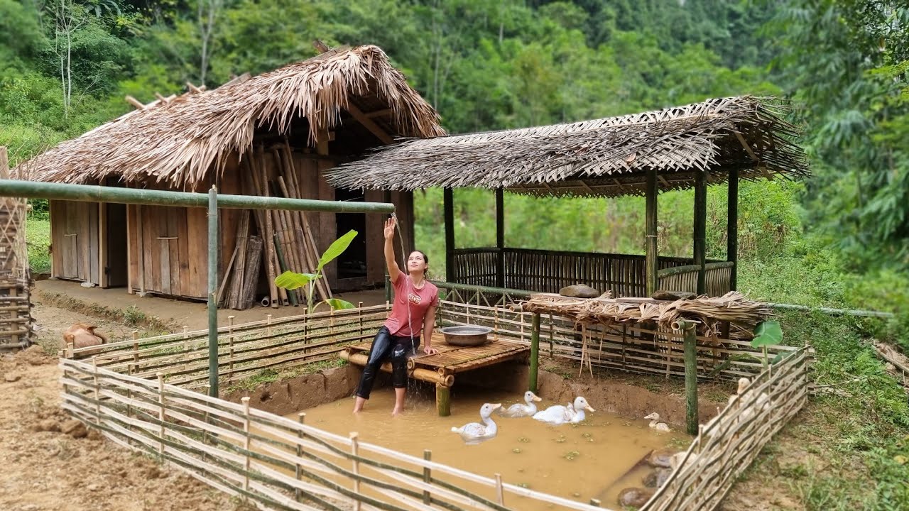 How to build free life and project develop from bamboo - Ep.84 - YouTube