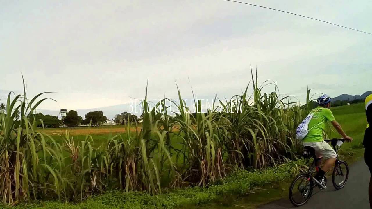 Sawah Padi @ Balik Pulau Penang - YouTube