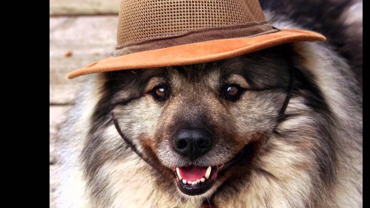 Atomic Dog - YouTube