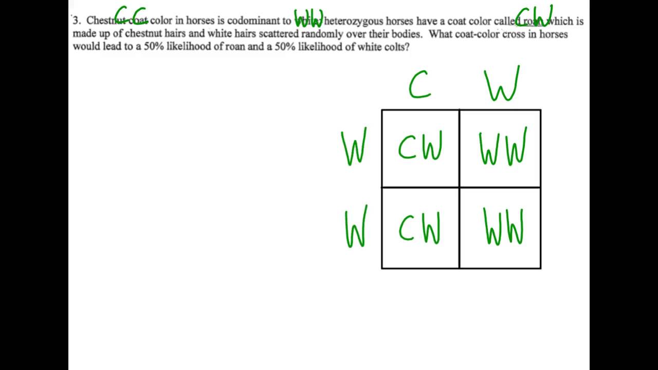 Genetics Problem Set - YouTube