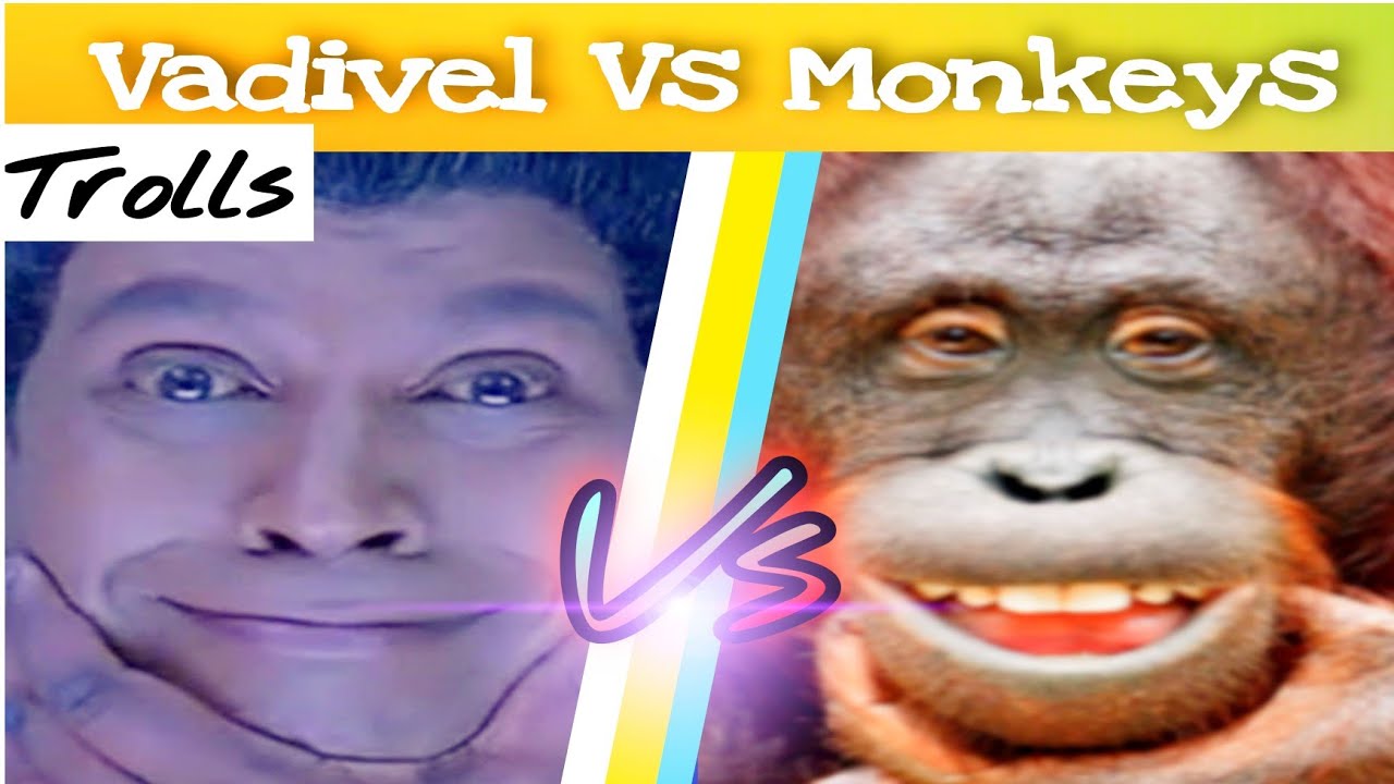 Animals troll | Awesome funny animals | Vadivel Vs Animals troll ...
