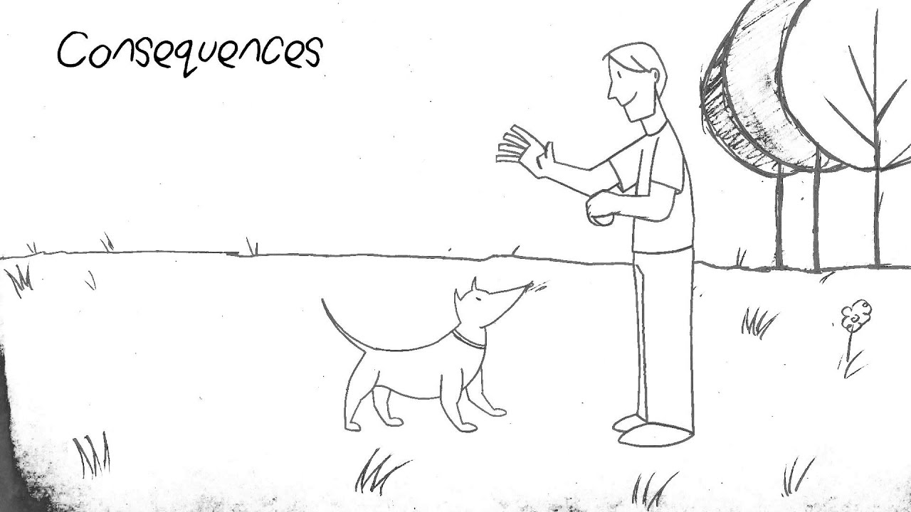 How Dogs Learn Animation Education - YouTube