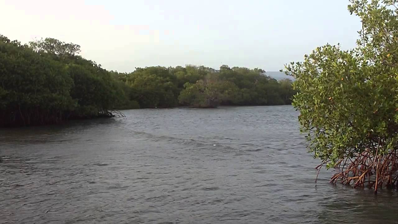 Reserva Natural Punta Cucharas - Alchetron, the free social encyclopedia