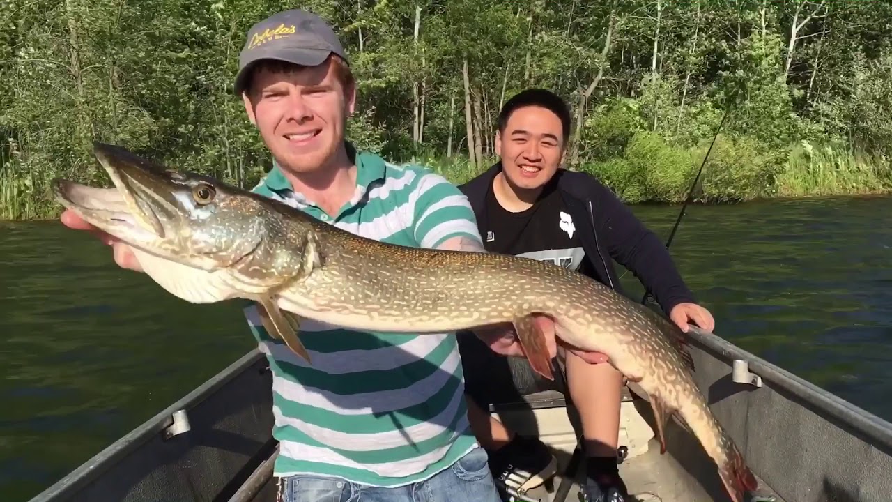 Pike Fishing In A Small Lake! - YouTube