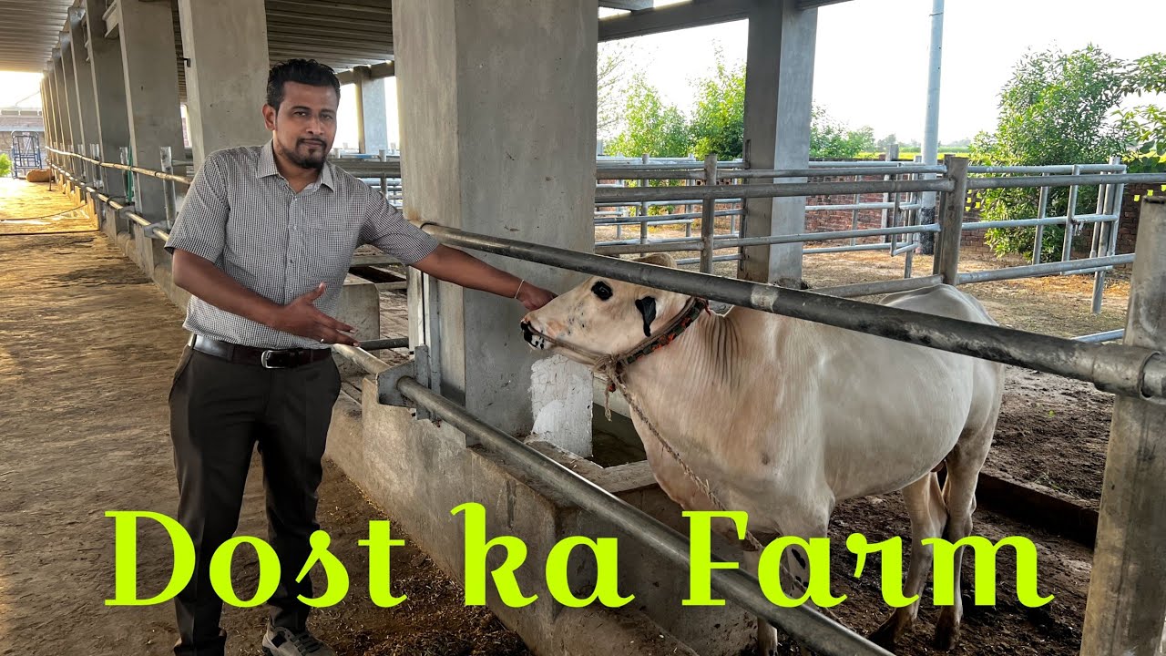 Road Trip 6nd Day | Vlogging With Shoaib || Vlog # 15 | - YouTube