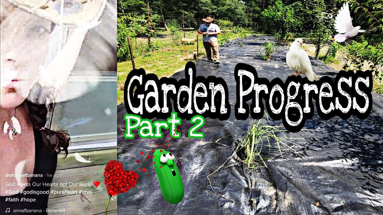 Garden Progress Part 2, Breakfast, Reflection + more - YouTube