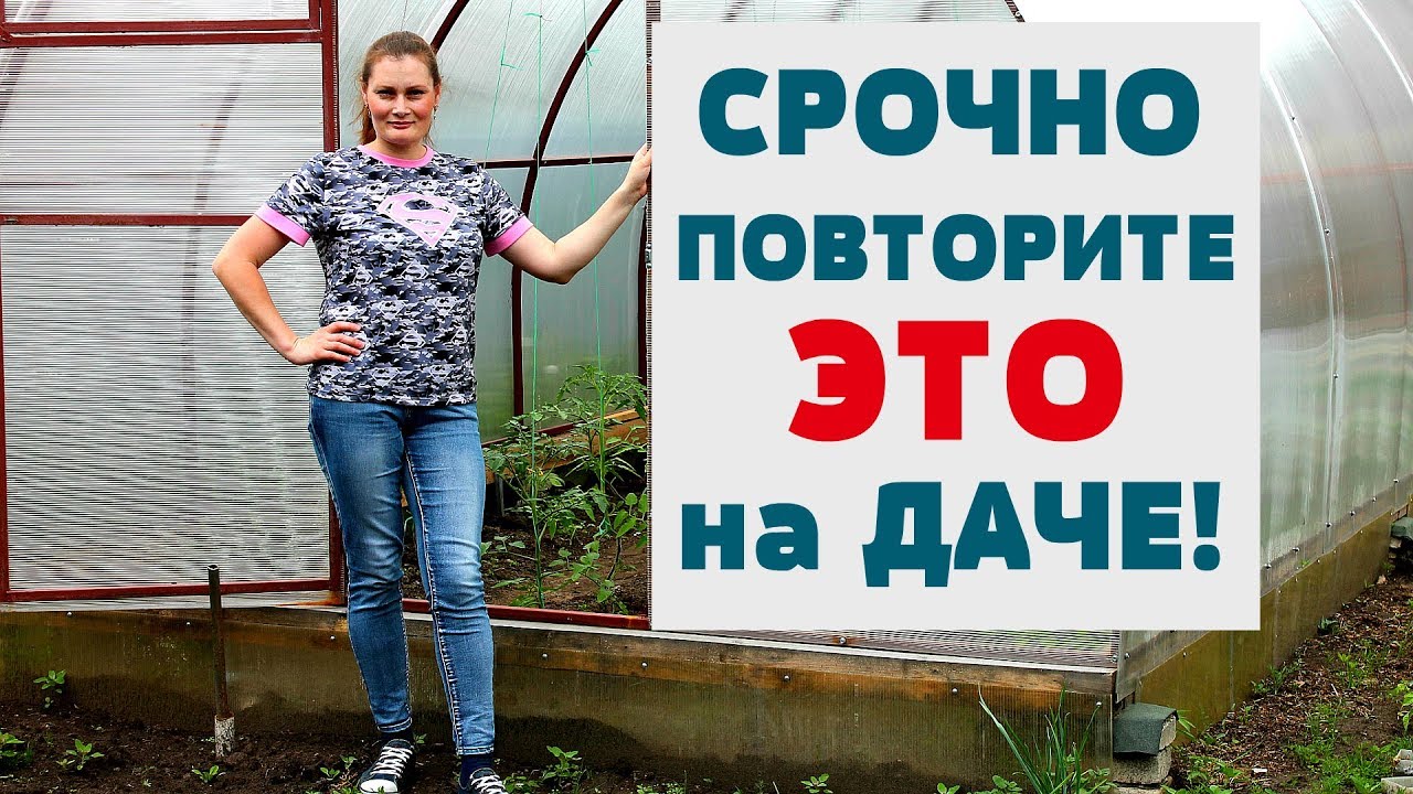 Подкормка лука мочевиной. Подкормка свеклы и моркови в открытом грунте ...