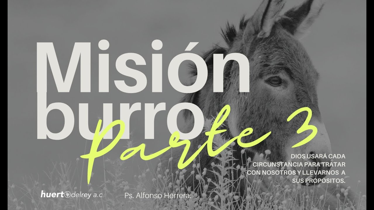 Misión burro | Parte 3| Ps. Alfonso Herrera - YouTube