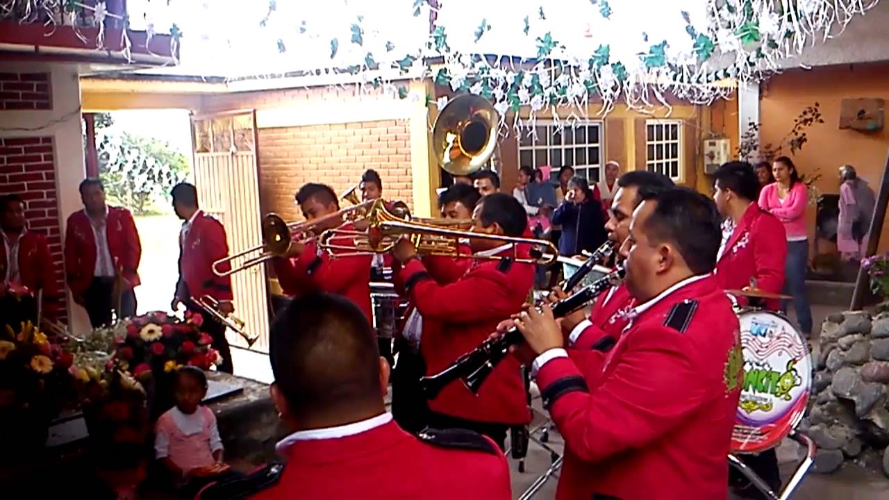 Banda-el limoncito-viva mi desgracia 2013 - YouTube