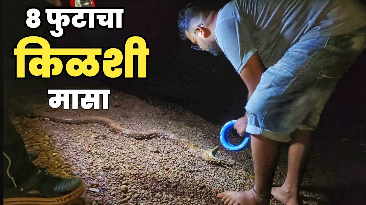 Kelshi dapoli big fishing | kokan fishing | Hook fishing #dapoli # ...