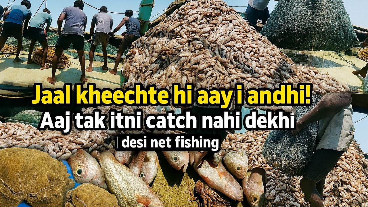 Jaal Kheechte Hi Machhliyon Ka Pahaad! | Live Net Fishing Catch | Viral ...