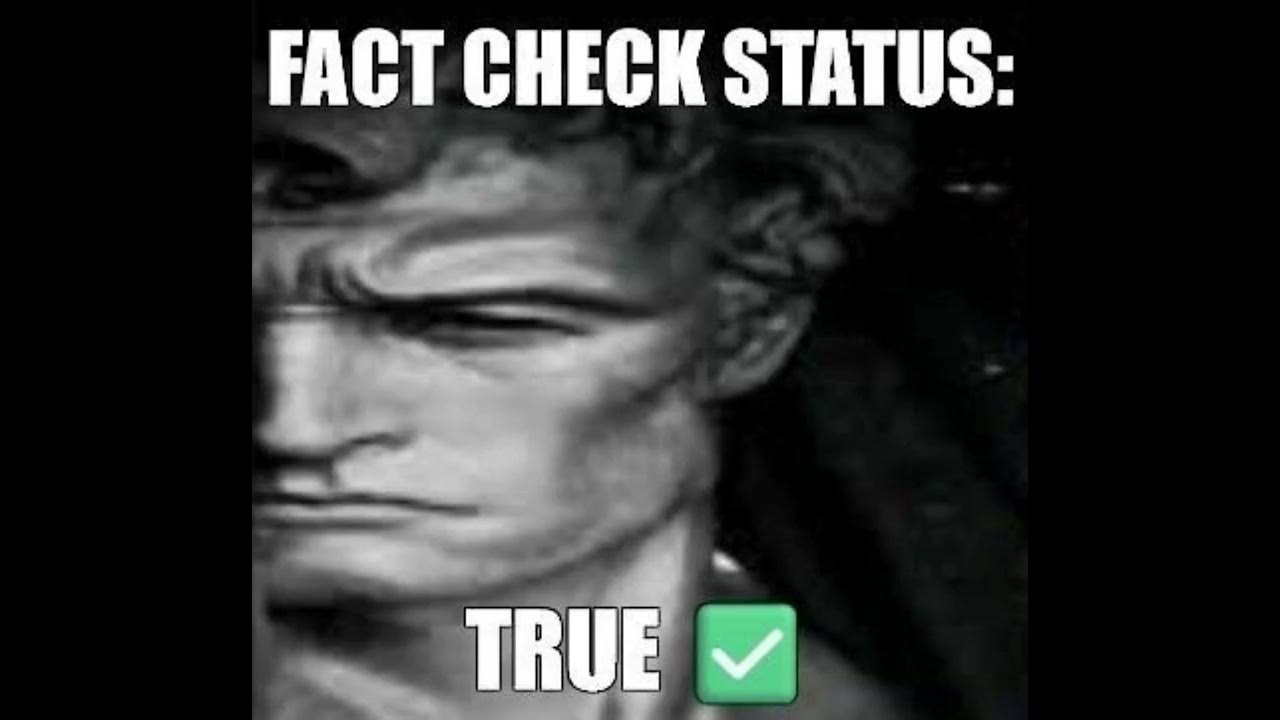 Fact check status: true / meme - YouTube