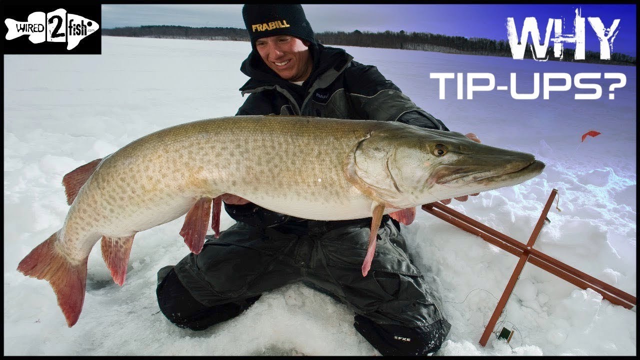 How to Catch Fish With Tip-Ups - Multispecies Action! - YouTube
