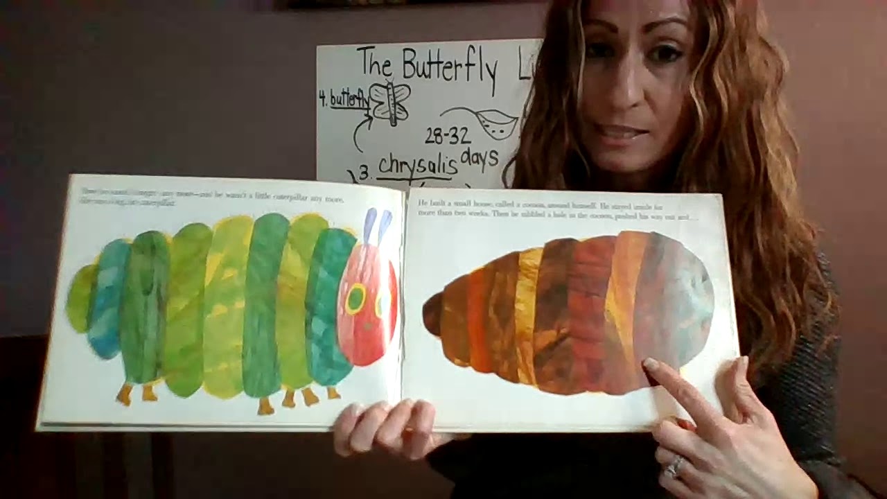 Butterfly Life Cycle The Very Hungry Caterpillar Tuesday, May 12th ...