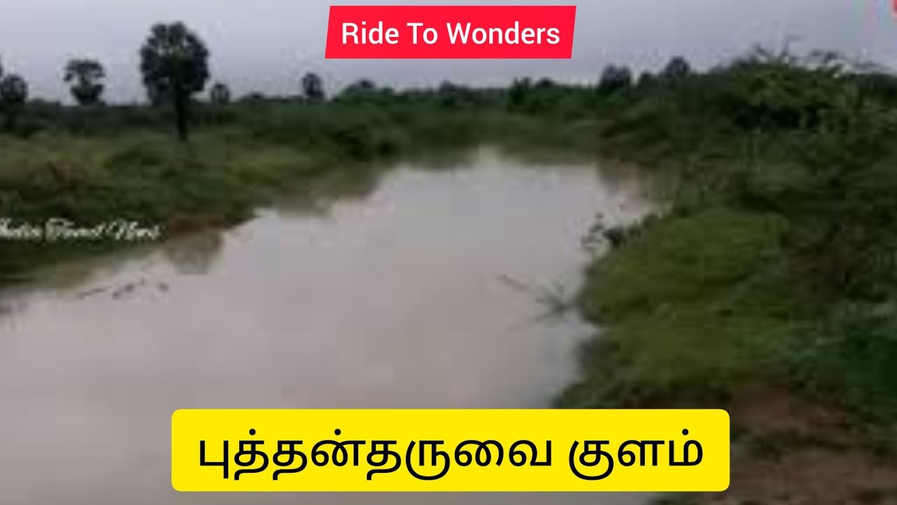 Ride To Wonders: Puthantharuvai Pond, Sathankulam | புத்தன்தருவை ...