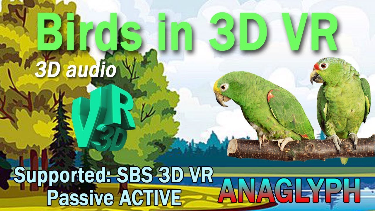 Birds in Extreme SBS VR | 3D Video - YouTube