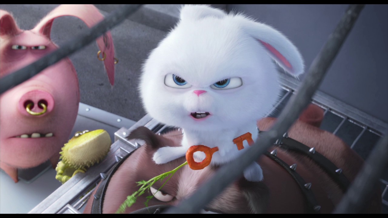 The Secret Life of Pets - Duke & Max - Own it Now - YouTube