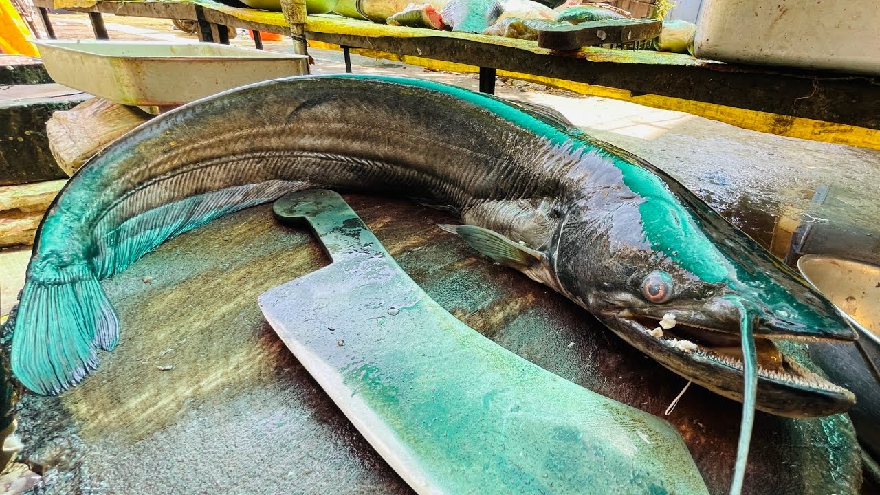 Amazing Big Boal Fish Cutting Skills || Big Boal Fish Cutting By Expert ...