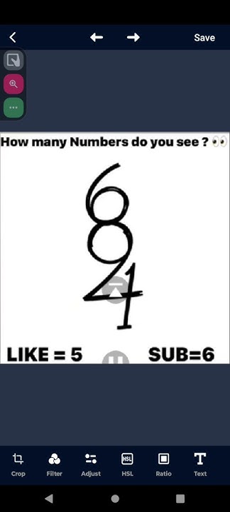 how many numbers do you see??? - YouTube
