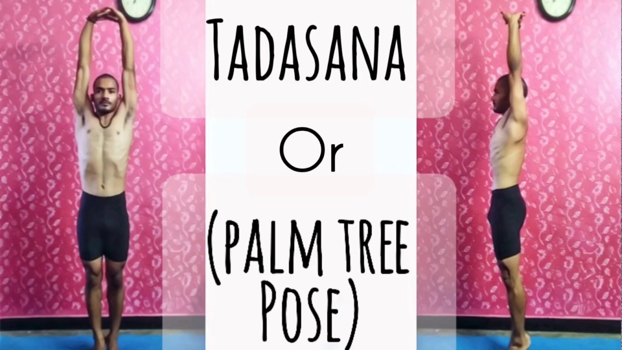 Tadasana | palm tree pose | Mountain pose | Asana for beginners | Basic ...
