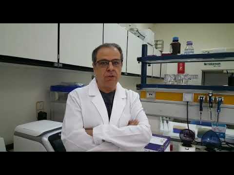 Luis Galipienso Torregrosa - YouTube