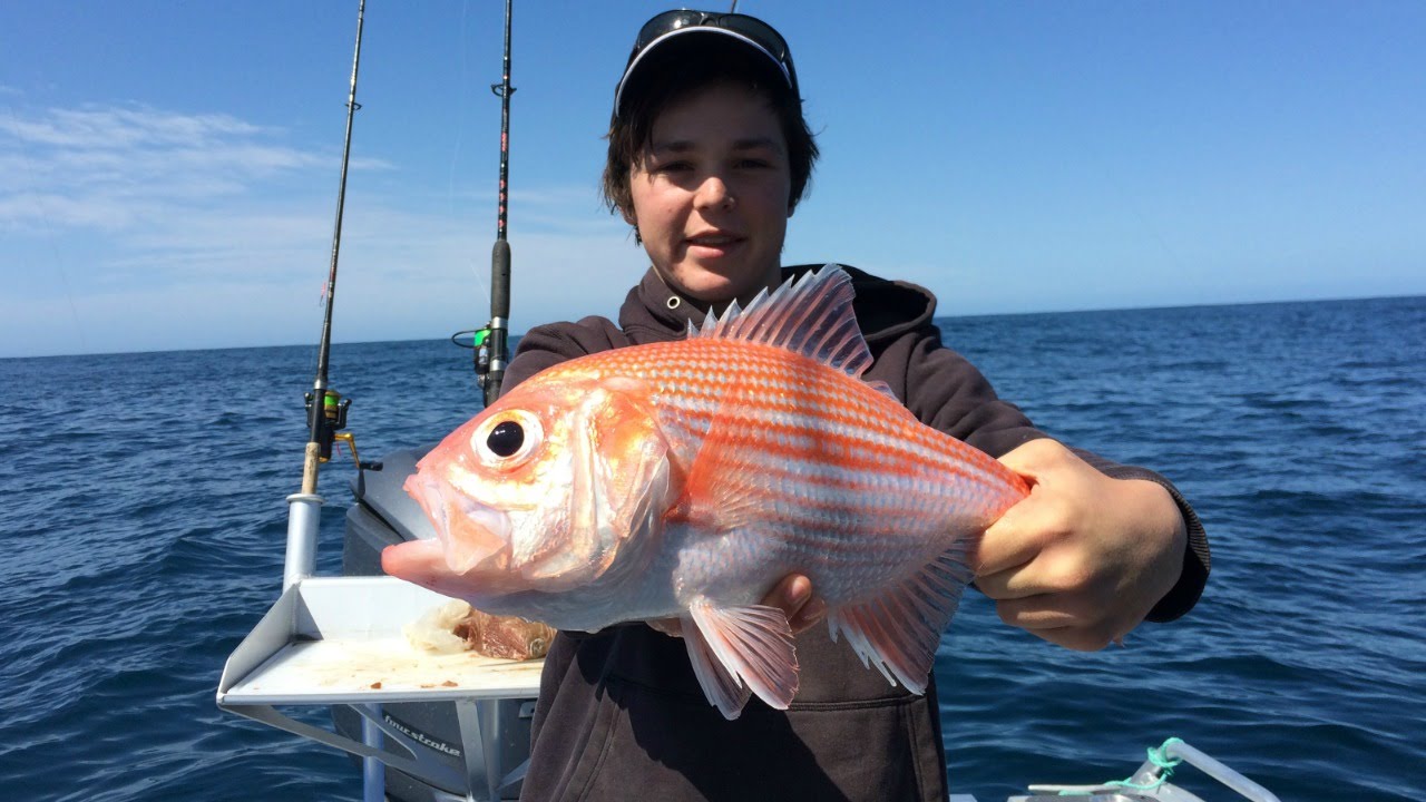 Nannygai (Bight Redfish), Queen Snapper (Blue Morwong) & More Fishing ...